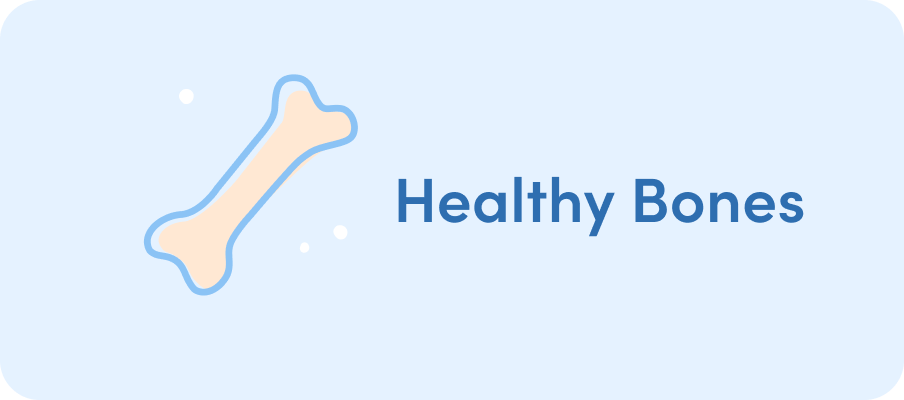 Collagen For Bones USA | Healthy Bones Collagen Peptides – The Collagen ...